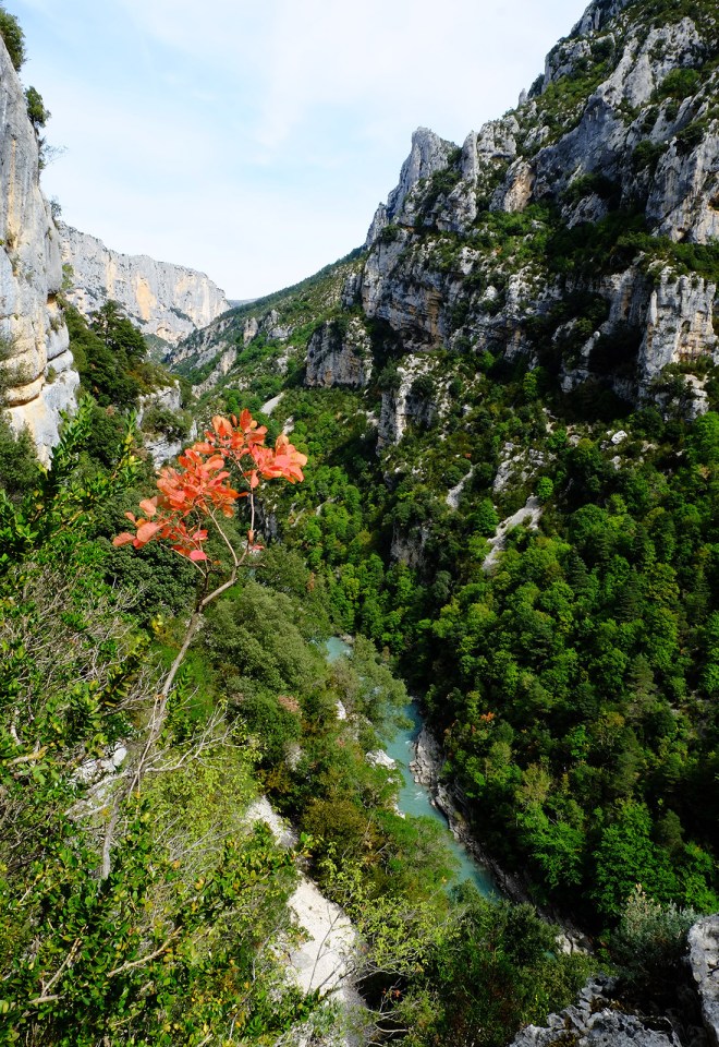 South of France: Seillans & around – TRAVELAUREL